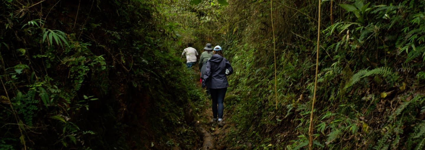Flora and Fauna of Rio Utcubamba » Nature and Culture International