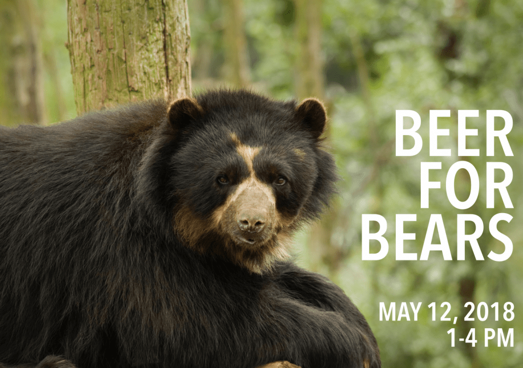 Sip a beer, save a bear…Join us on May 12 at Beer for Bears! » Nature ...