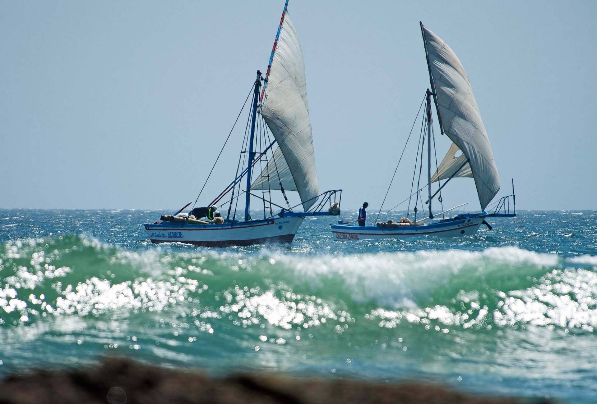 Northern Peru’s first marine reserve on the horizon » Nature and ...