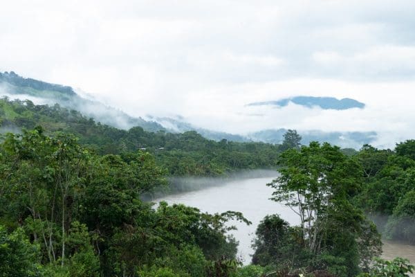 Zamora-Chinchipe: Protecting Biodiversity in Southern Ecuador