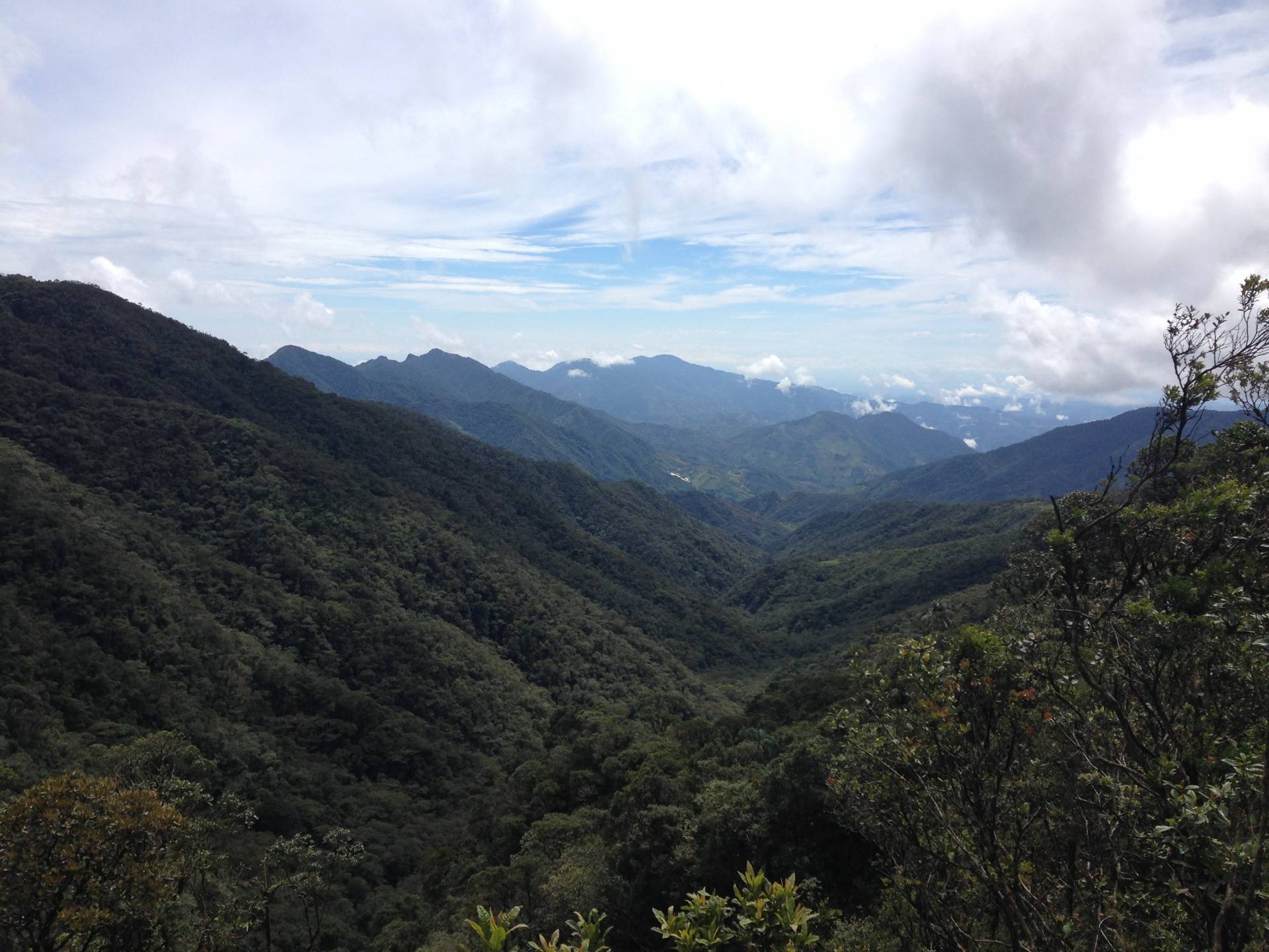 Conserving Biodiversity in High Altitude Ecosystem