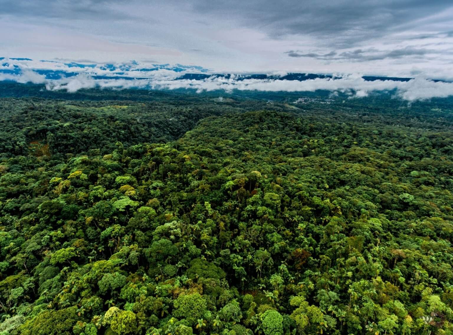 Indigenous Peoples: Key to Climate Change Mitigation