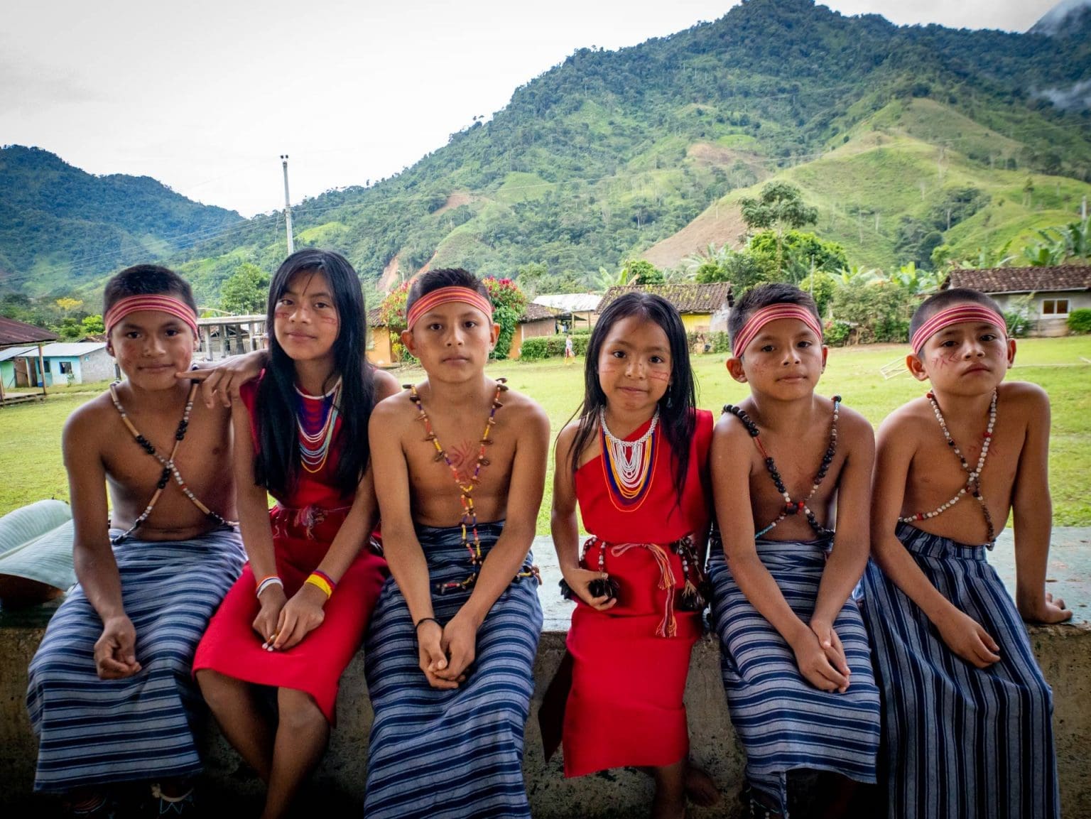 Incredible Rainforests of South America: Nature's Marvels