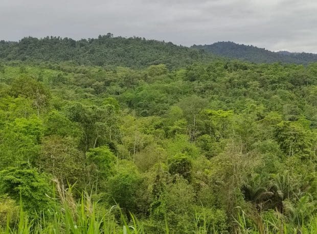 Santa Elena Protected Area: Newly Declared Conservation Gem