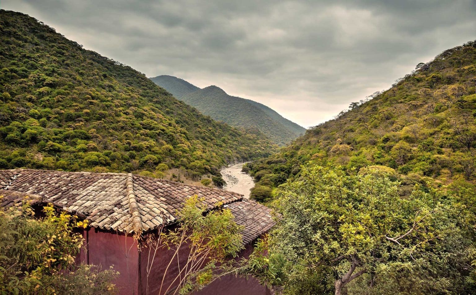 Tropical Dry Forests » Nature and Culture International