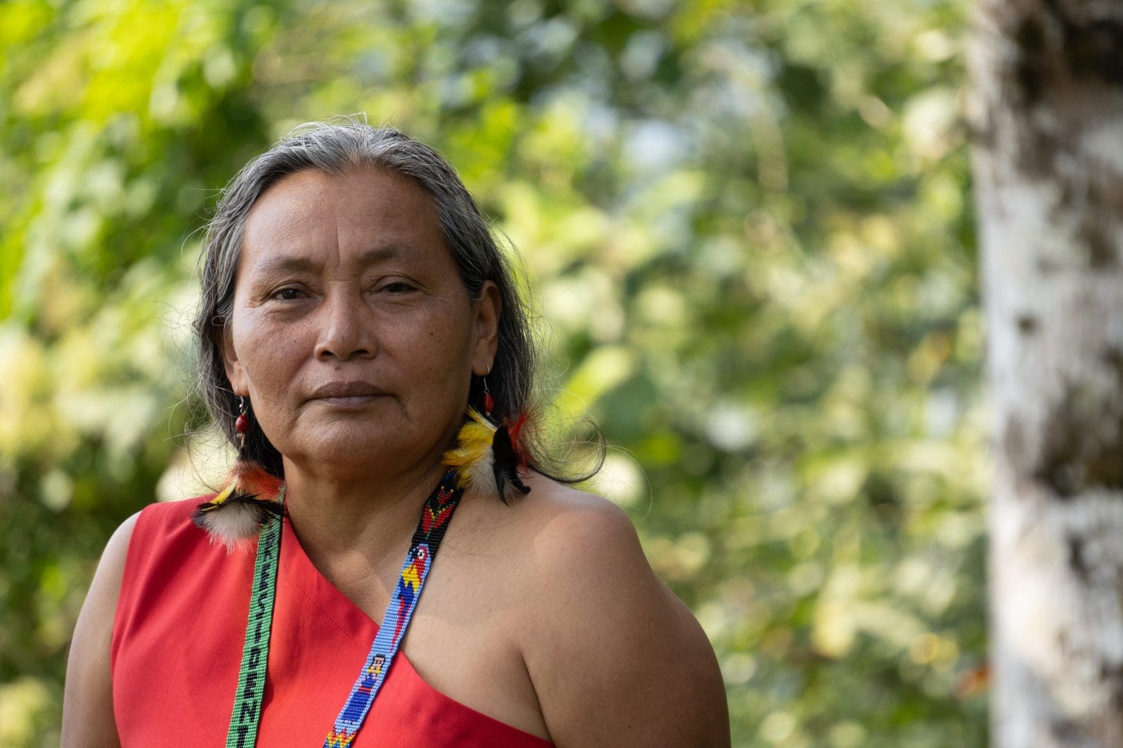 Historic Creation of the Tarímiat Pujutaí Nunka Reserve » Nature and ...