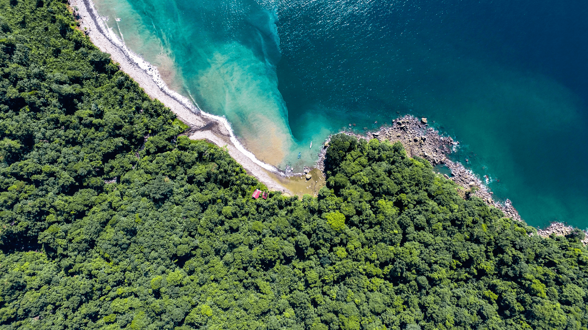 Incredible Rainforests of South America: Nature's Marvels