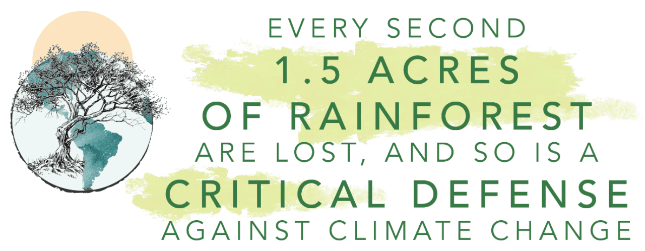 CLIMATE » Nature and Culture International