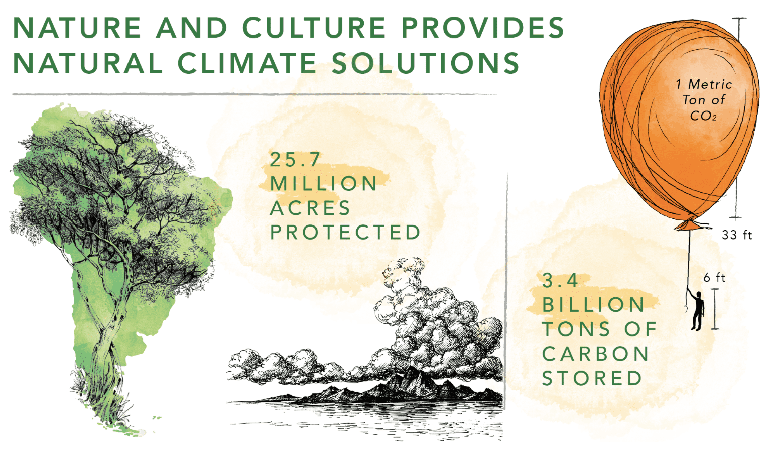 CLIMATE » Nature and Culture International