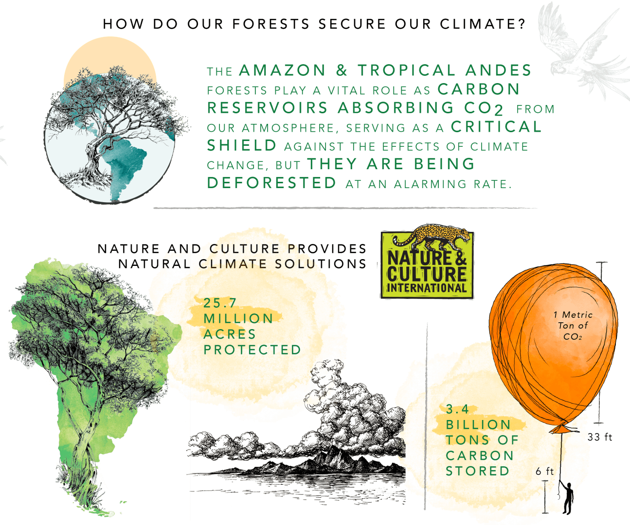 Save Forests, Secure Climate » Nature and Culture International
