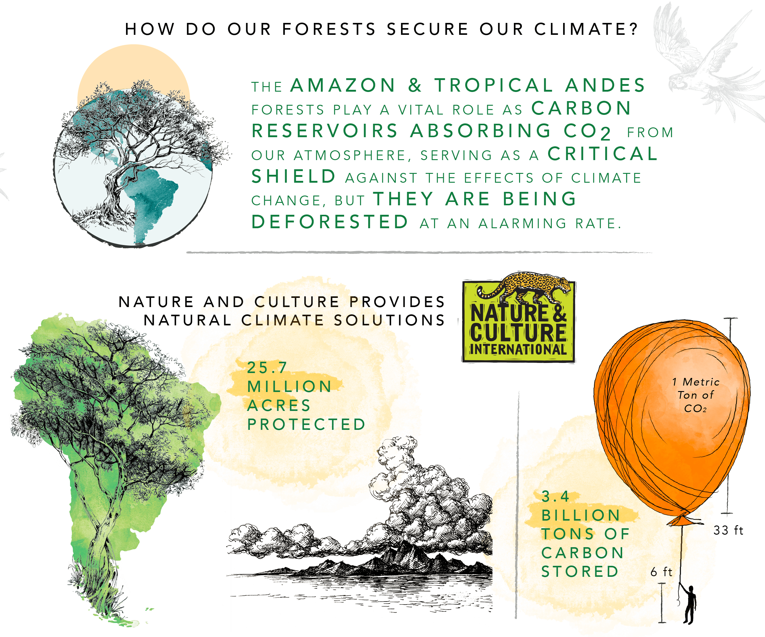 Save Forests, Secure Climate » Nature and Culture International