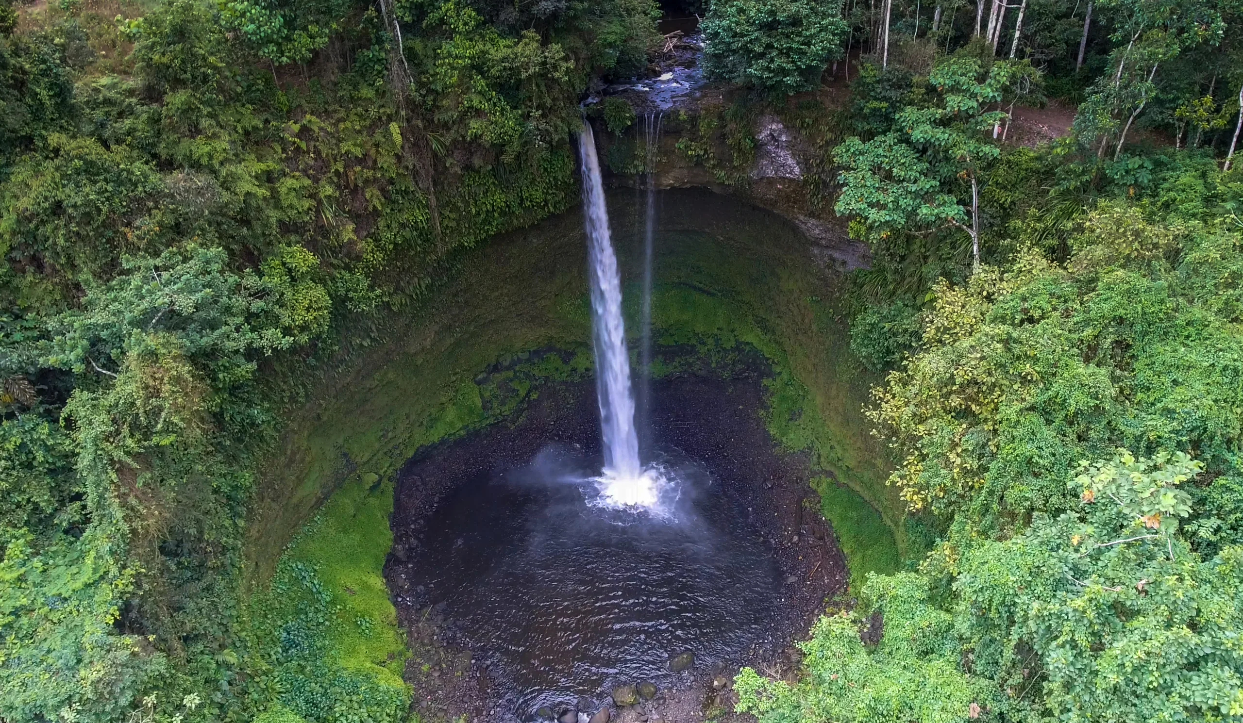 Why do we celebrate Earth Day? » Nature and Culture International