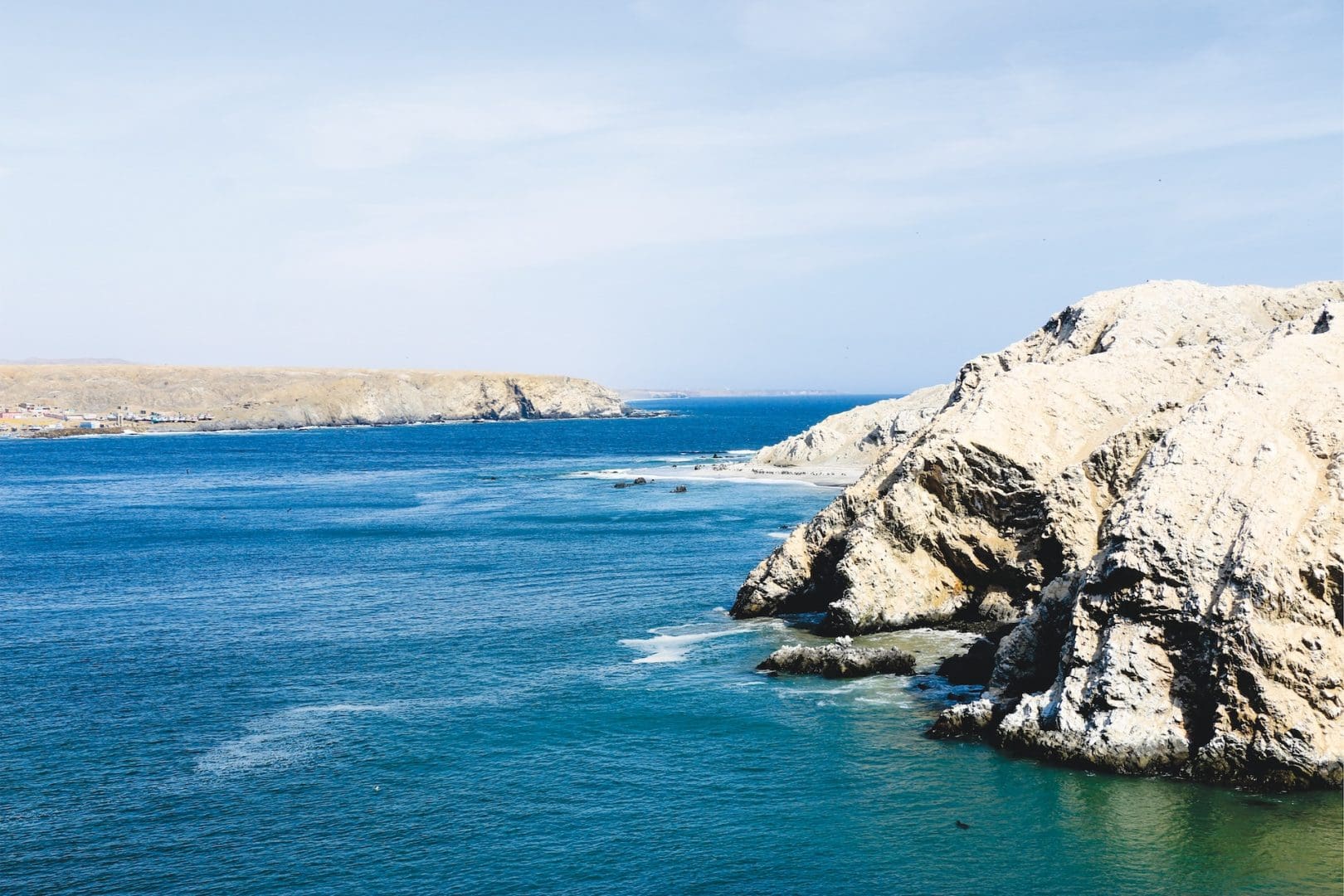 A biodiverse marine paradise in Peru is now protected!