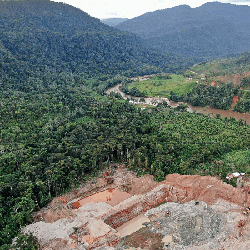 Deforestation and its negative impacts » Nature and Culture International