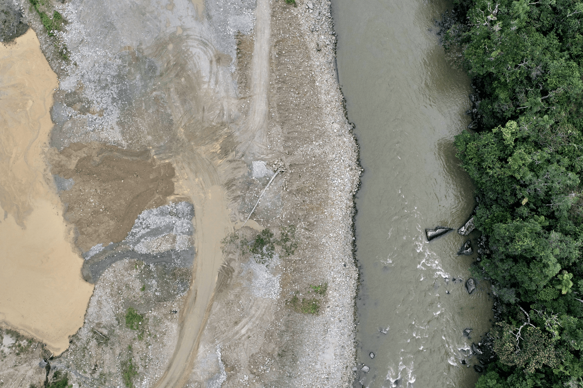 Deforestation and its negative impacts » Nature and Culture International