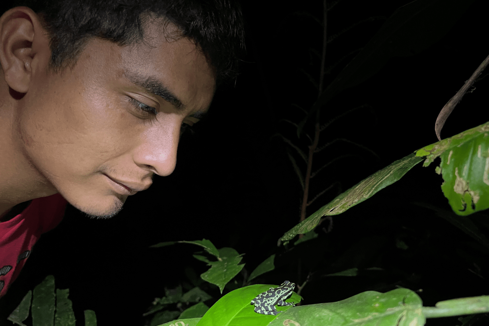 A Day in the Life of A Forest Ranger » Nature and Culture International