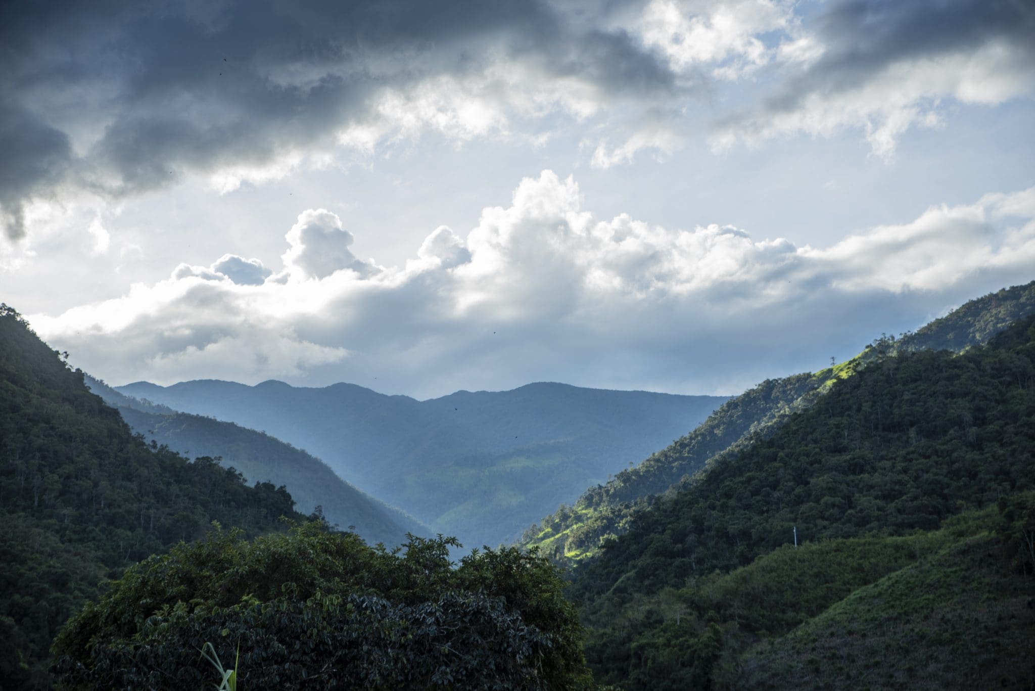 Inicio » Naturaleza y Cultura Internacional